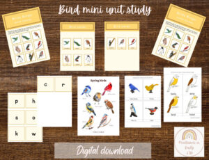 Bird mini unit study – Montessori in Daily Life