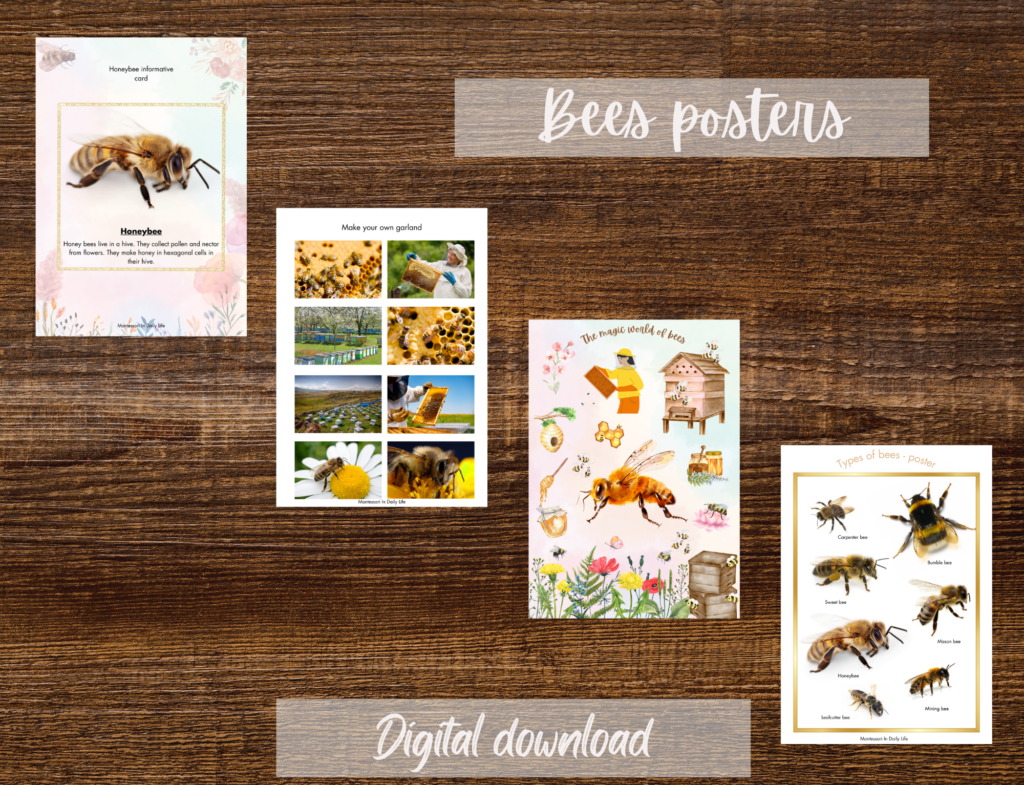 B is for Bee Learning Pack – Montessori in Daily Life