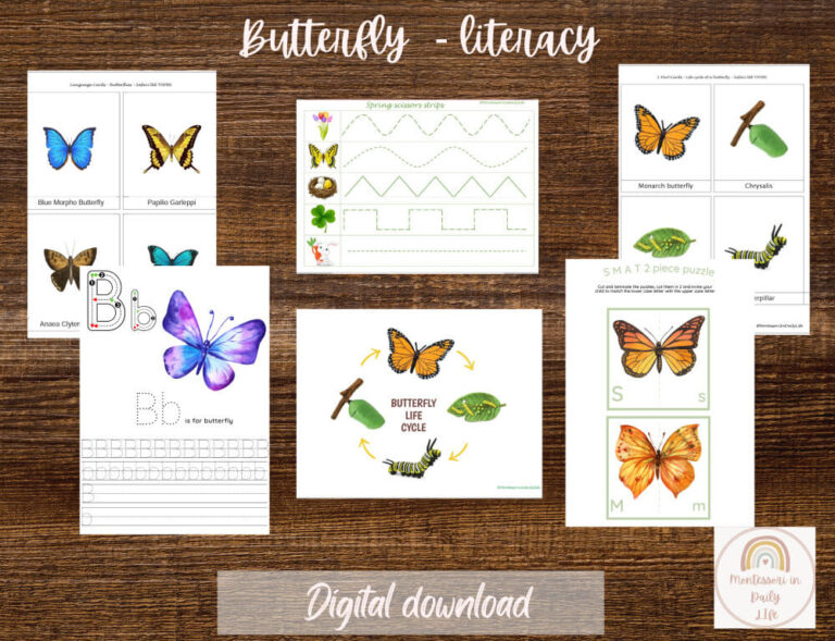 Butterflies Mini Unit Study – Montessori in Daily Life
