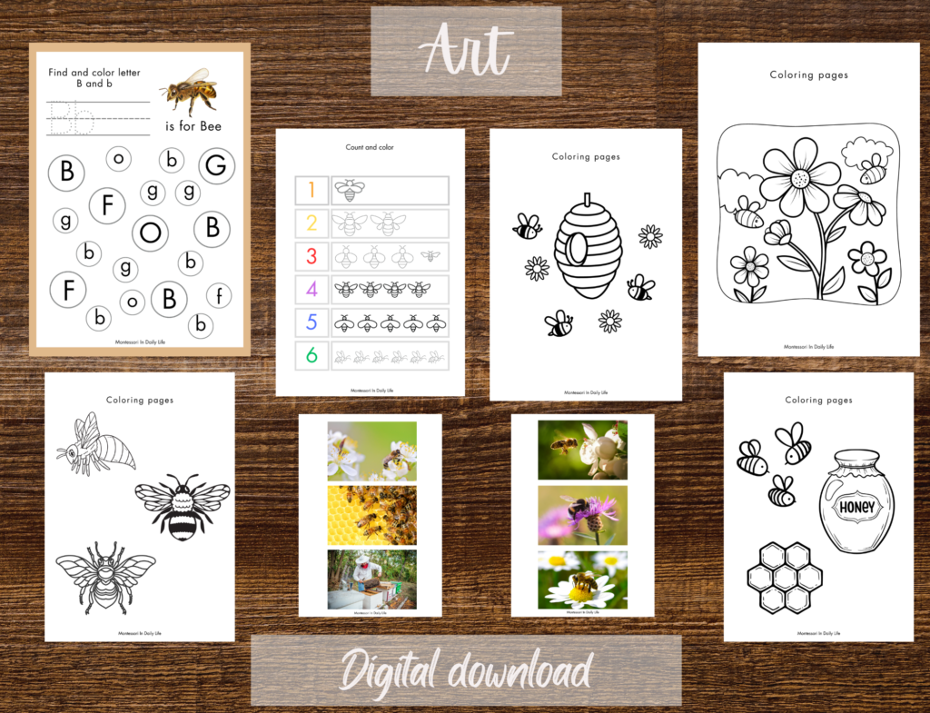 B is for Bee Learning Pack – Montessori in Daily Life