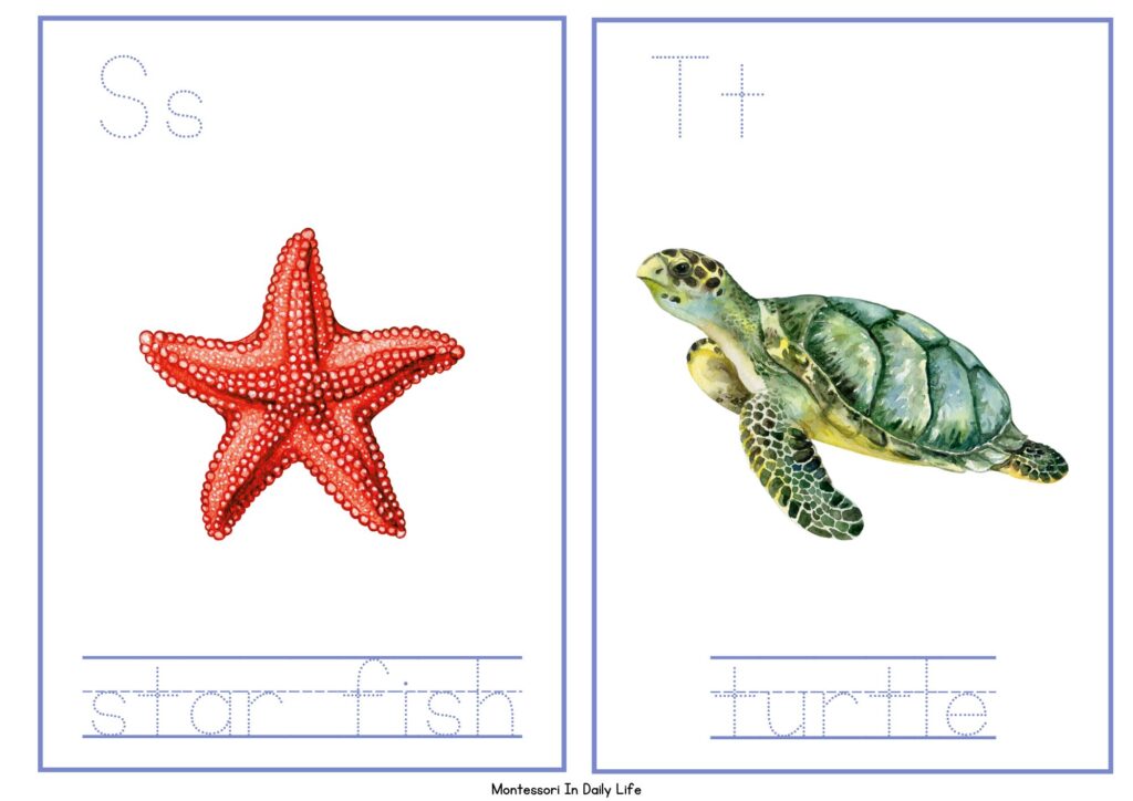 Ocean Alphabet Coloring Book + Ocean Alphabet Tracing Cards FREE ...