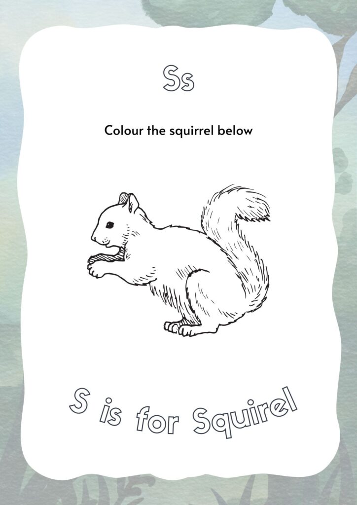 Forest Alphabet Coloring Book + FREE Forest Alphabet Tracing Cards ...