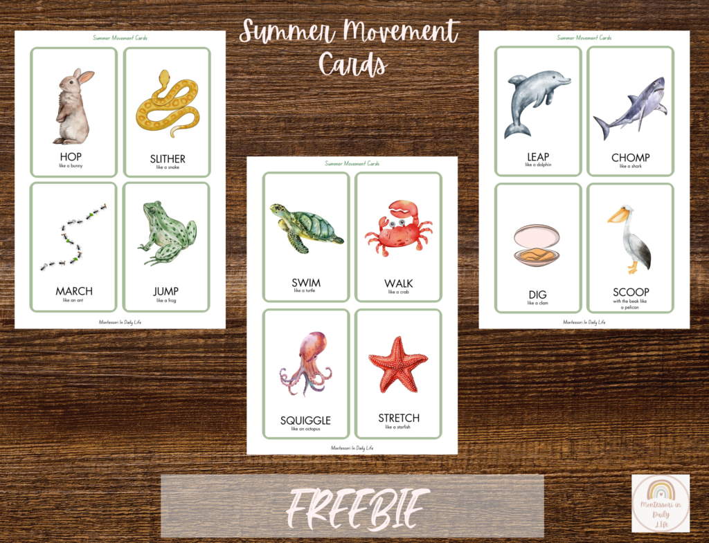 Summer Movement Cards – Montessori in Daily Life