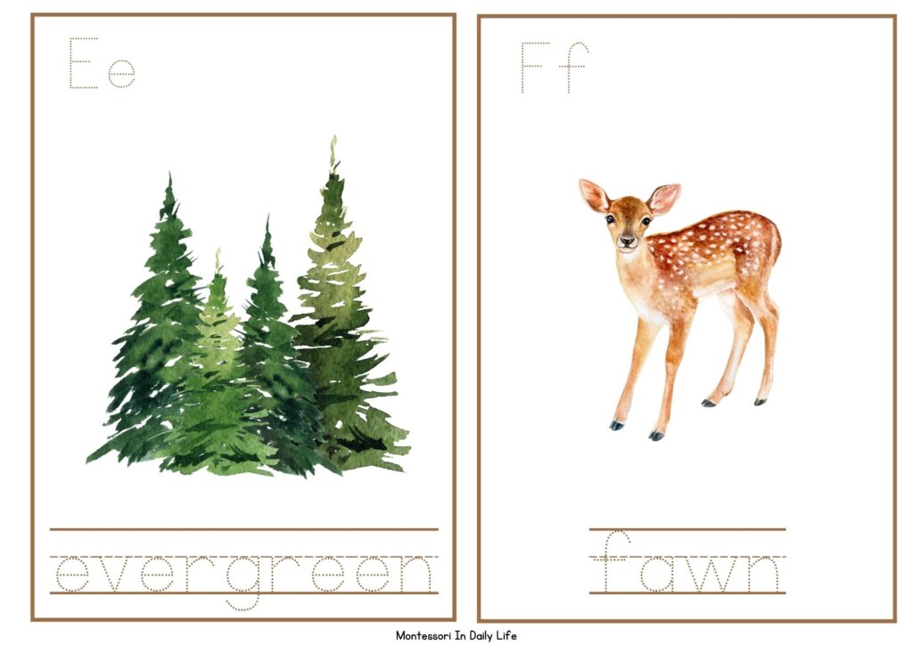 Forest Alphabet Coloring Book + FREE Forest Alphabet Tracing Cards ...