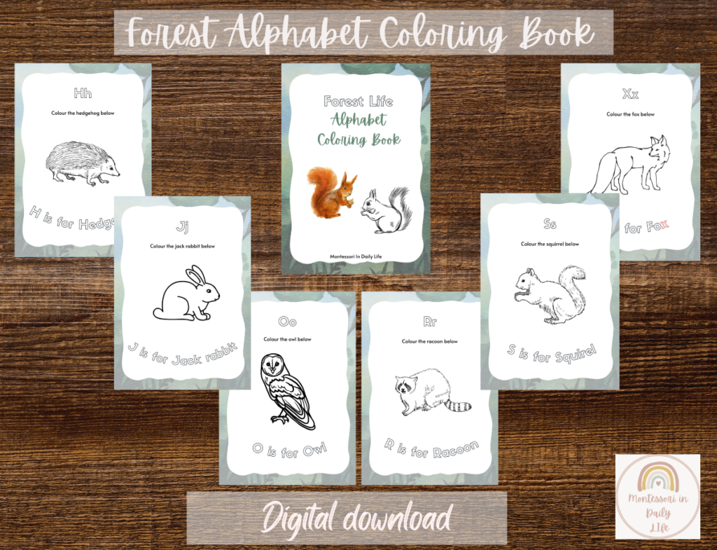 Forest Alphabet Coloring Book + FREE Forest Alphabet Tracing Cards ...
