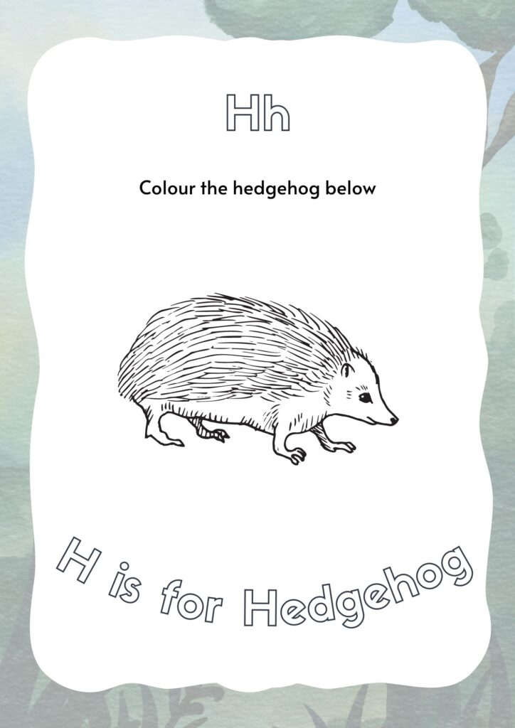 Forest Alphabet Coloring Book + FREE Forest Alphabet Tracing Cards ...