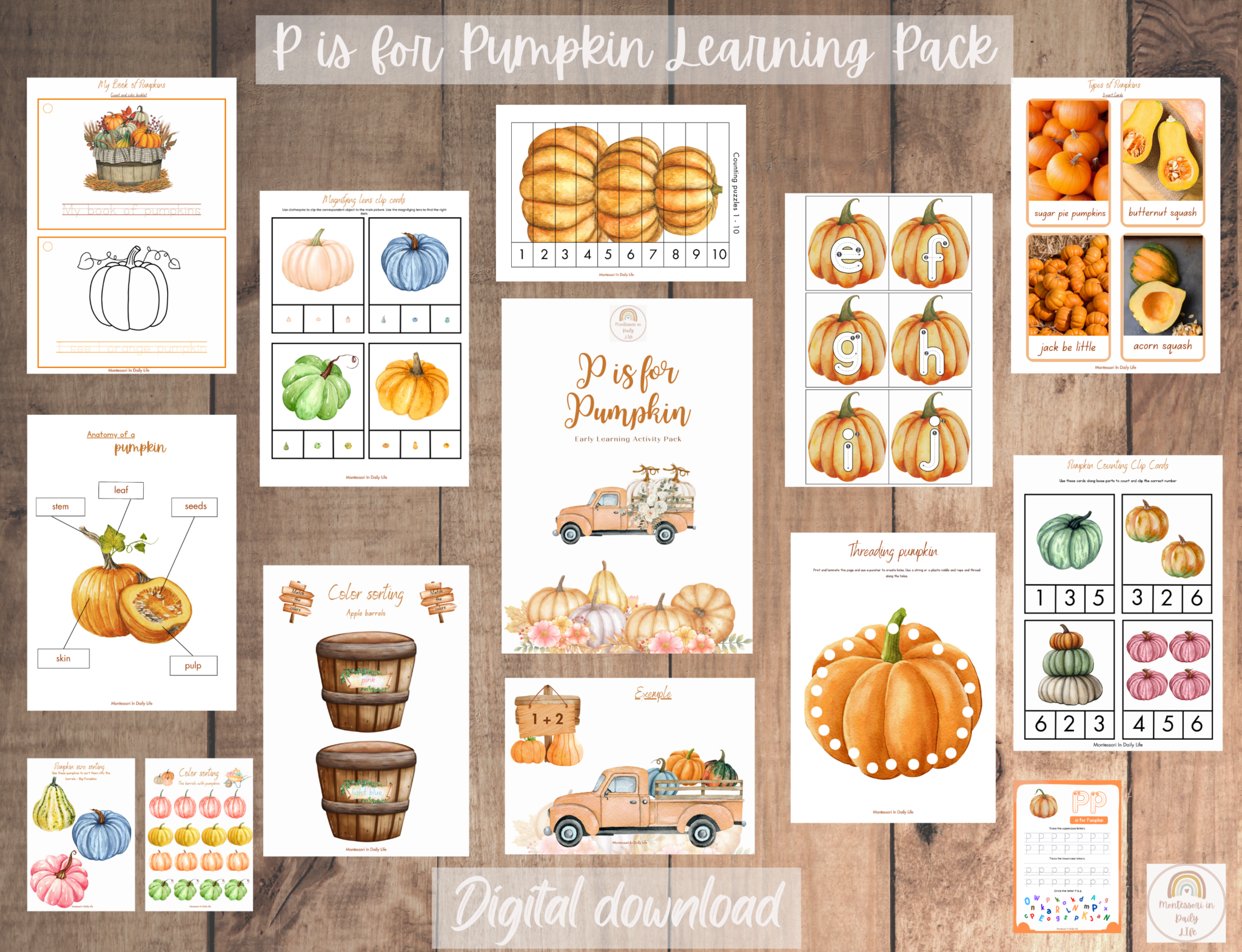 P is for Pumpkin Montessori Aligned Learning Pack – Montessori in Daily ...