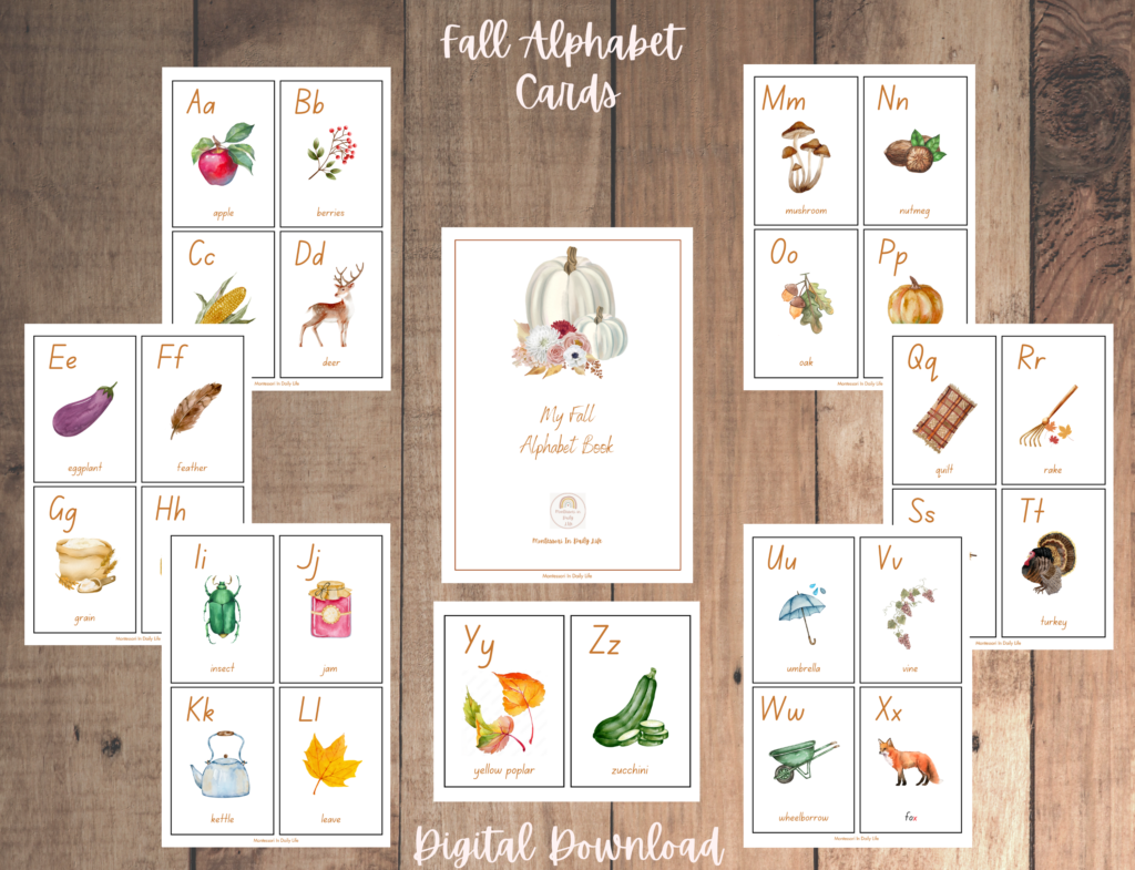 P is for Pumpkin + Fall Alphabet Cards + FREEBIE – Montessori in Daily Life