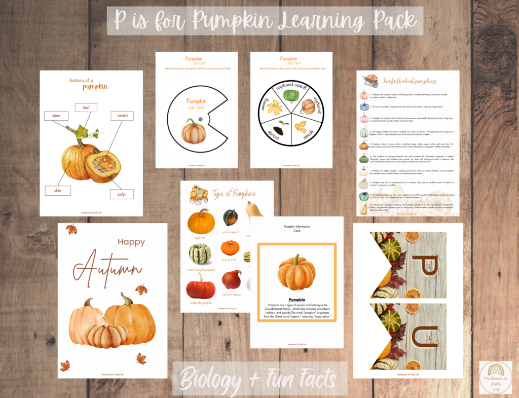 P is for Pumpkin + Fall Alphabet Cards + FREEBIE – Montessori in Daily Life