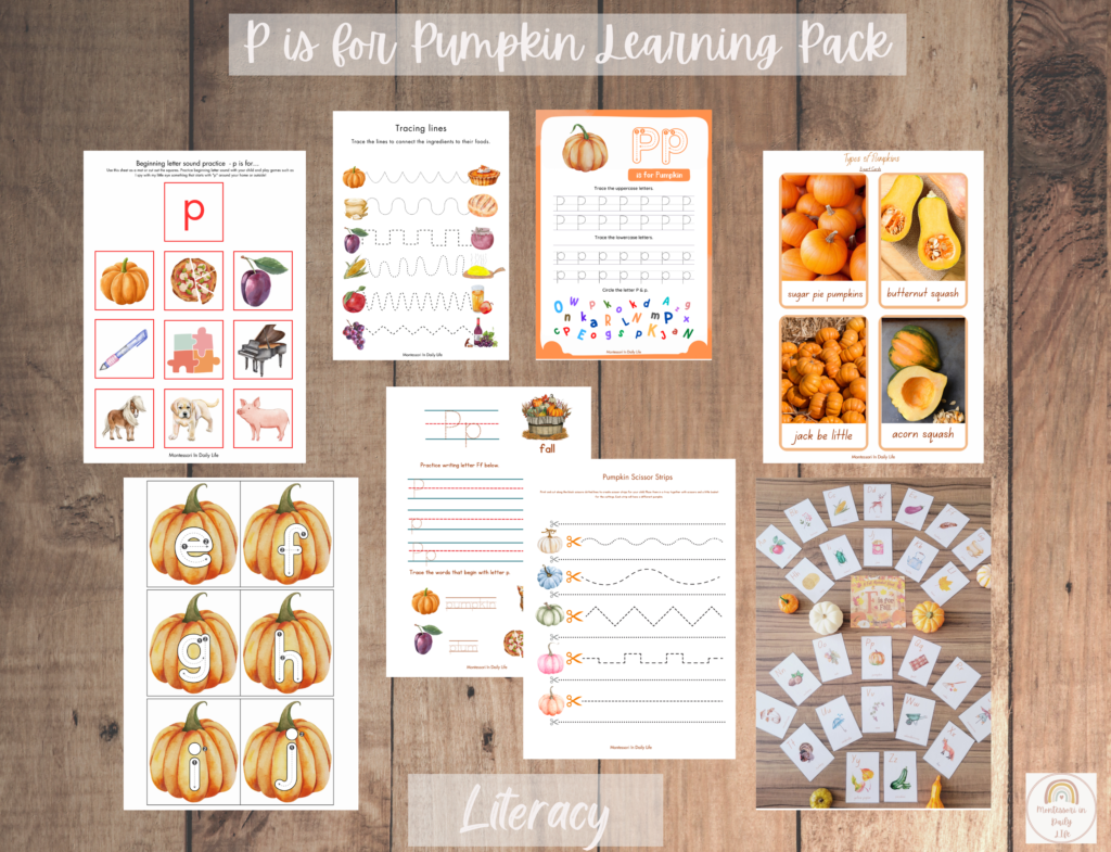 P is for Pumpkin + Fall Alphabet Cards + FREEBIE – Montessori in Daily Life