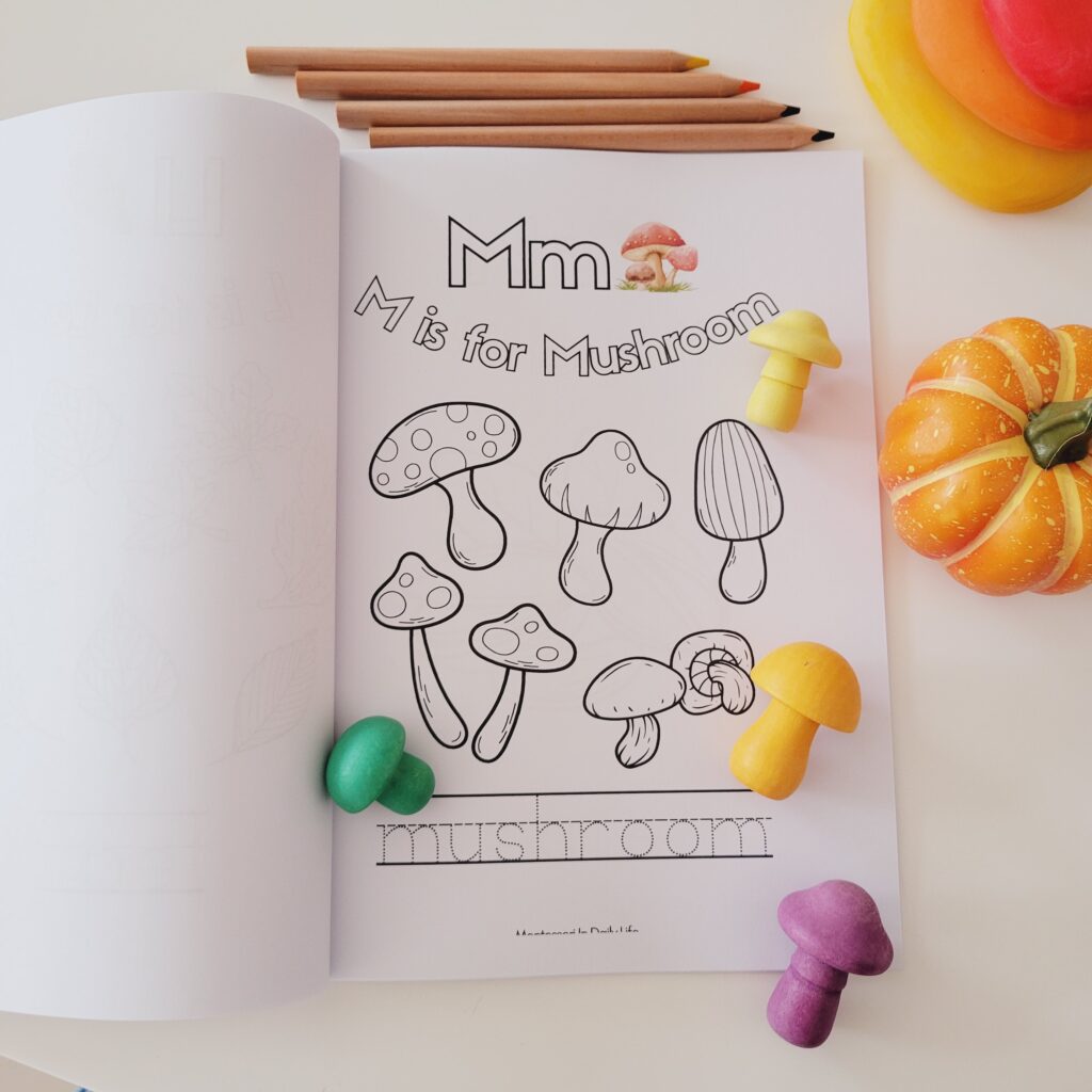 Fall Alphabet Coloring and Tracing Book – Montessori in Daily Life