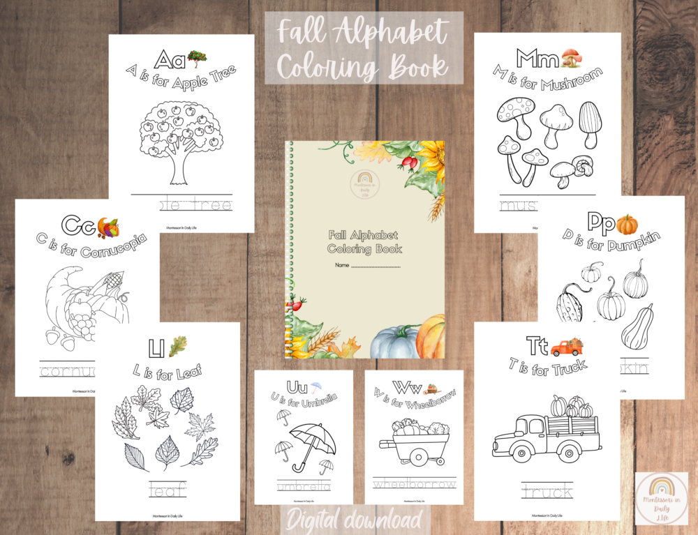 Fall Alphabet Coloring and Tracing Book – Montessori in Daily Life