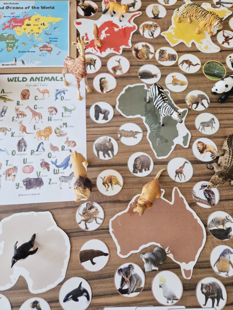 Animals of the World Encyclopedia 250 Montessori Inspired Unit for 5 ...