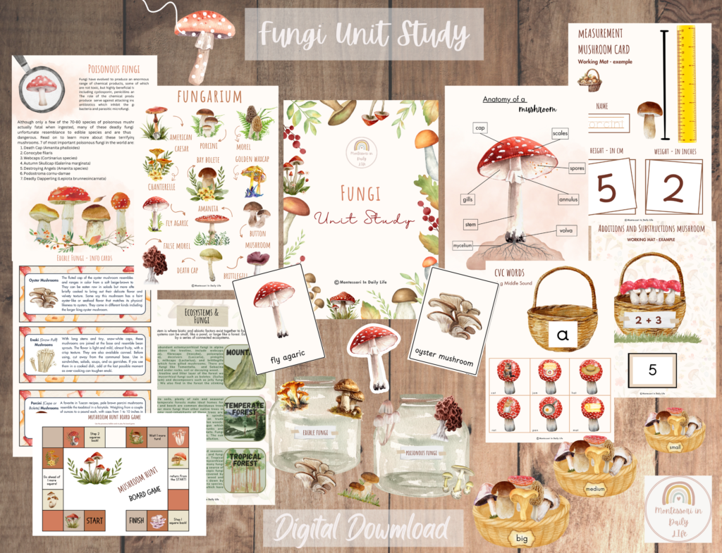 Fungi Unit Study Montessori aligned Learning Pack – Montessori in Daily ...