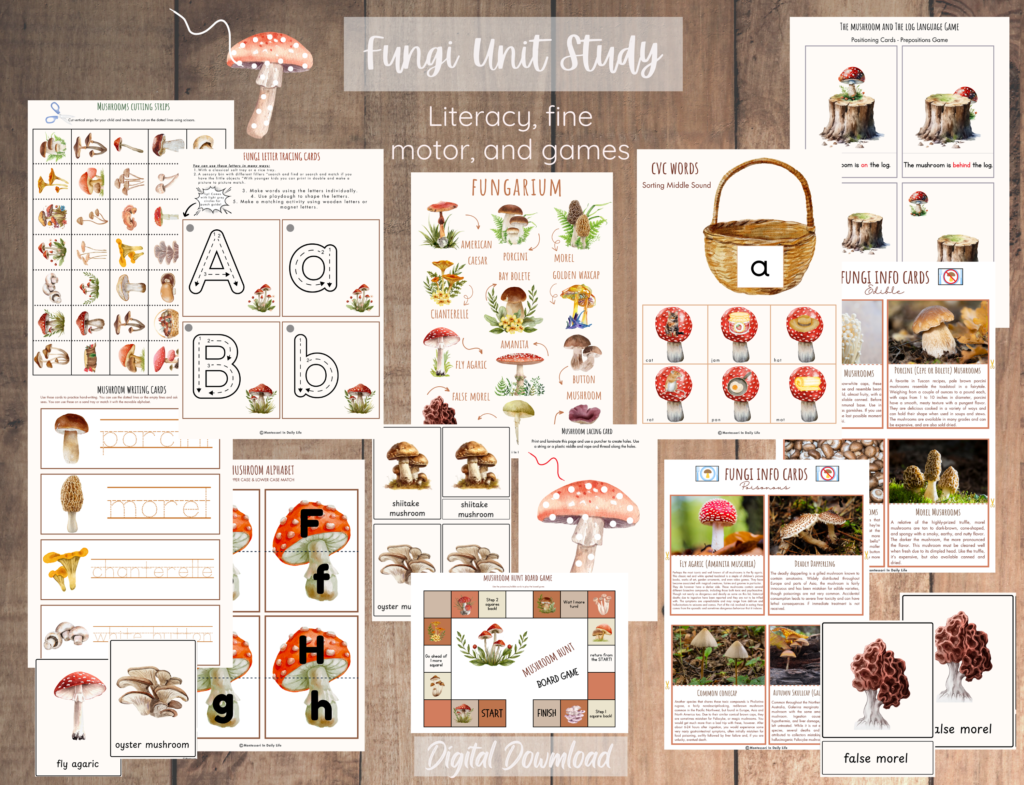 Fungi Unit Study Montessori aligned Learning Pack – Montessori in Daily ...