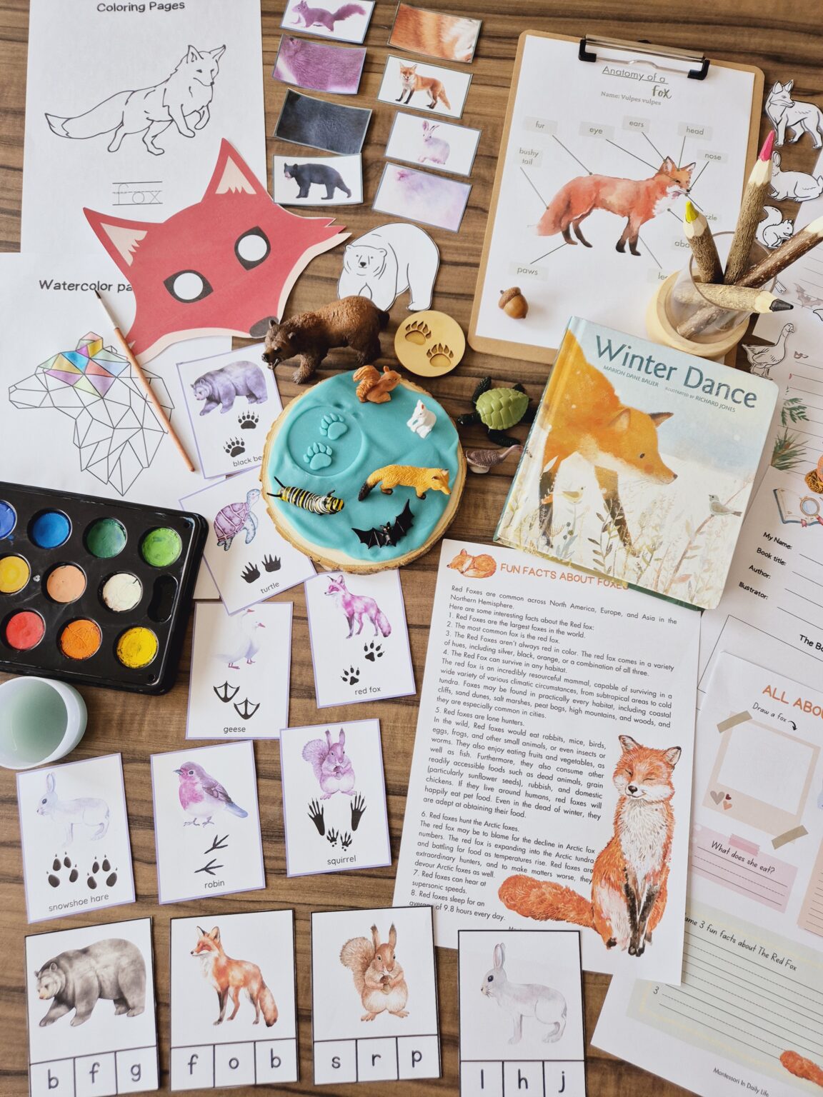 Winter Literacy Pack and Book Companion – Montessori in Daily Life