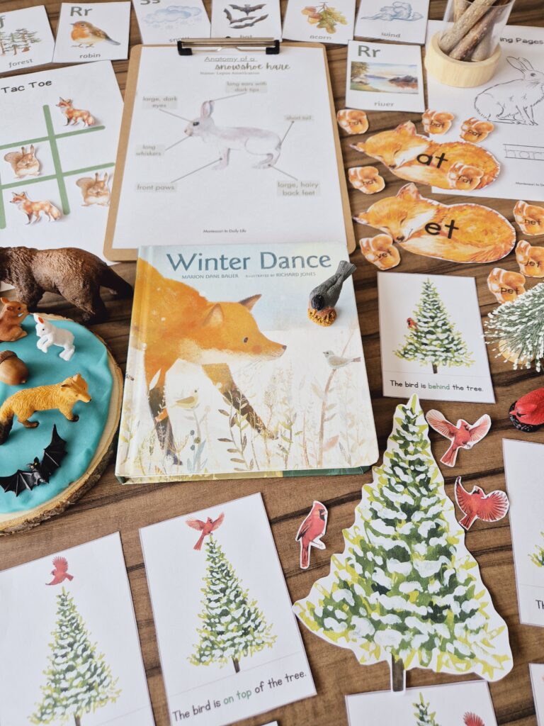 Winter Literacy Pack and Book Companion – Montessori in Daily Life