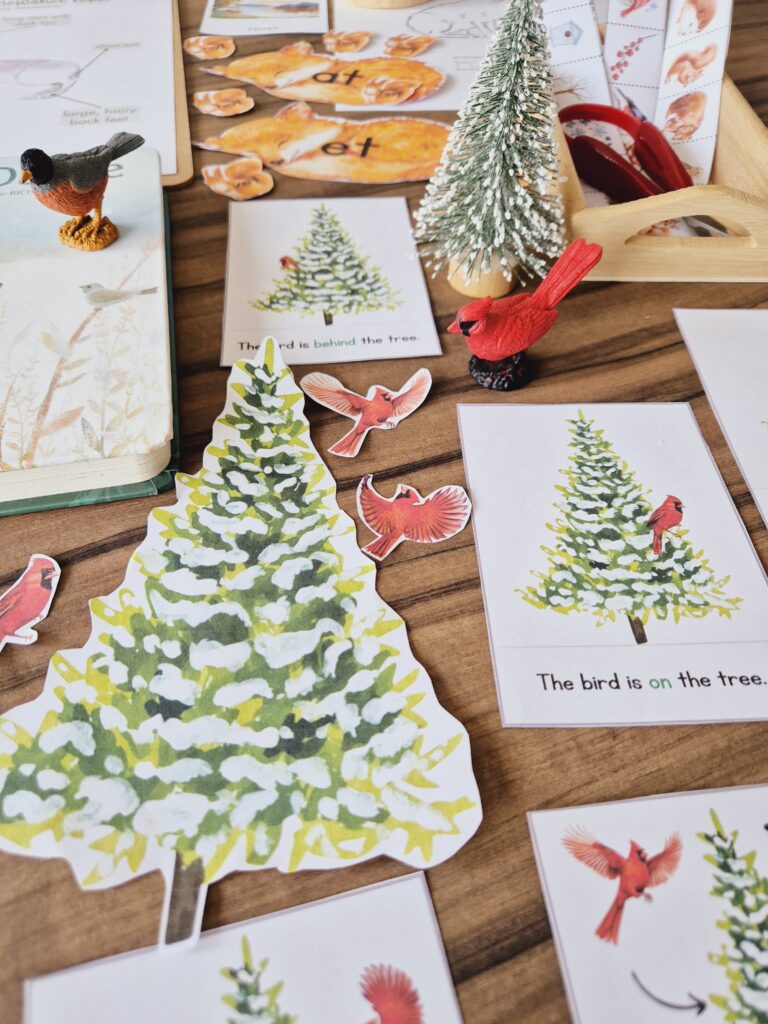 Winter Literacy Pack and Book Companion – Montessori in Daily Life