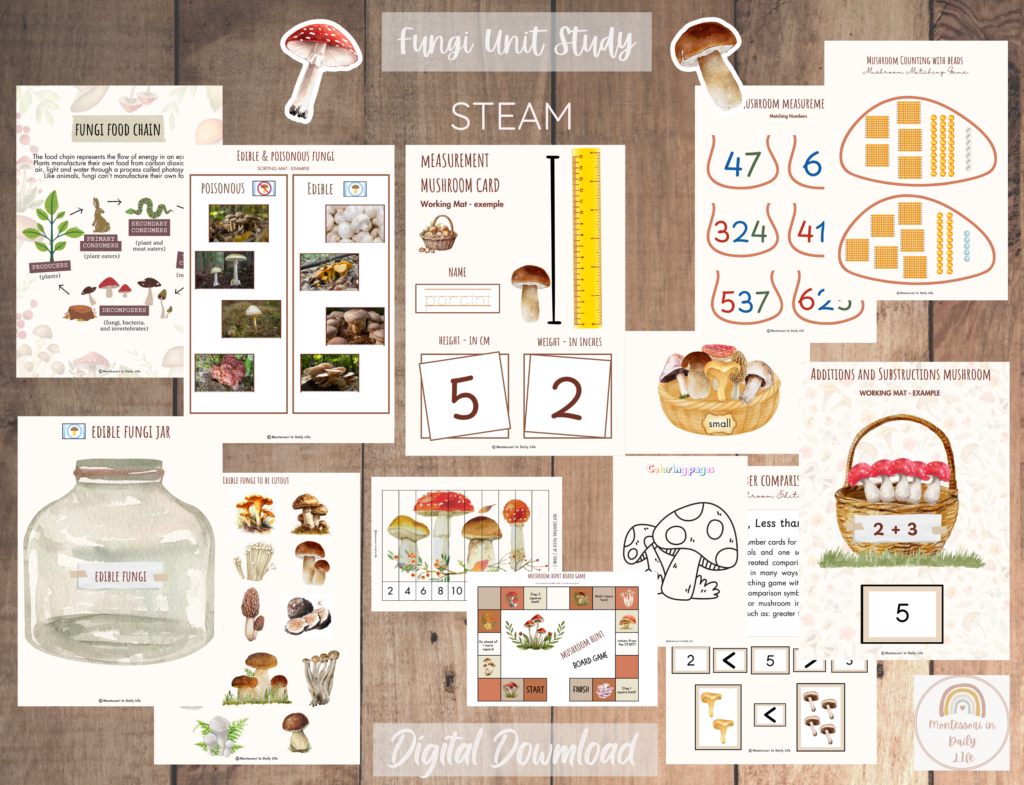 Fungi Unit Study Montessori aligned Learning Pack – Montessori in Daily ...