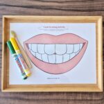 Teeth Brushing Activity with Free Printable – Montessori in Daily Life