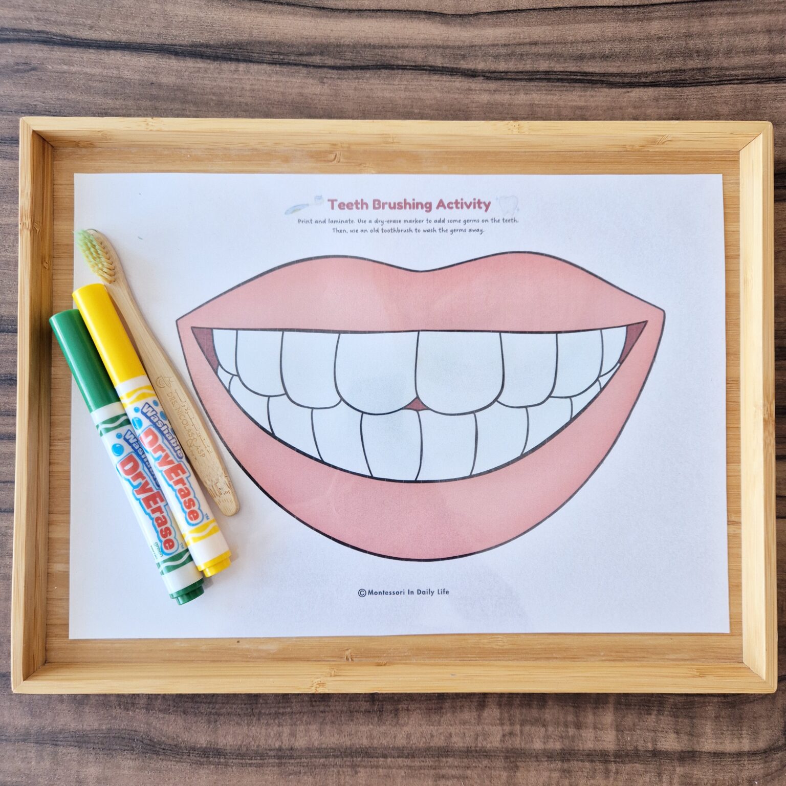 Teeth Brushing Activity with Free Printable – Montessori in Daily Life