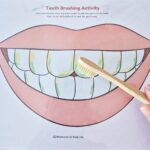 Teeth Brushing Activity with Free Printable – Montessori in Daily Life