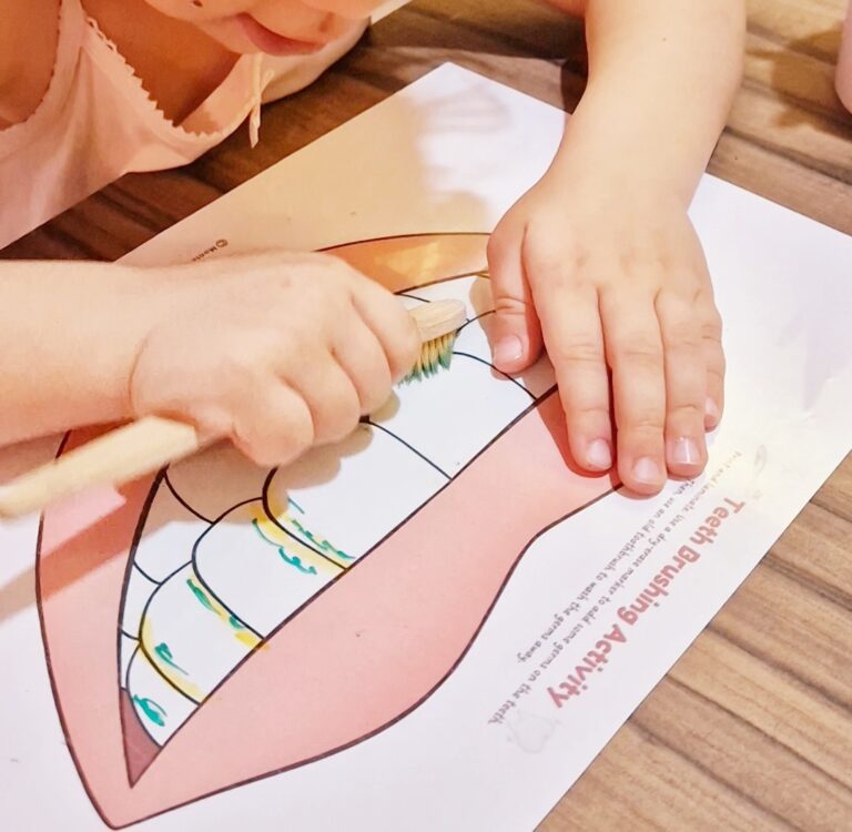 Teeth Brushing Activity with Free Printable – Montessori in Daily Life