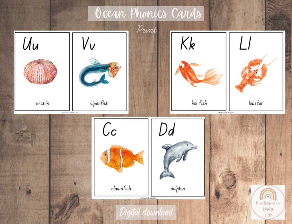 Ocean Phonics Cards – Montessori in Daily Life
