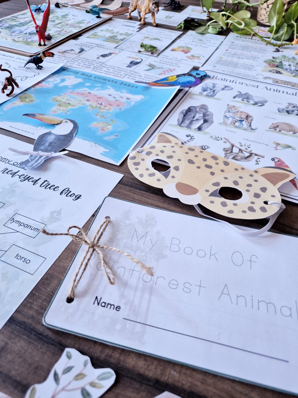 Tropical Rainforest Montessori Inspired Unit Study (6 to 12 years old ...