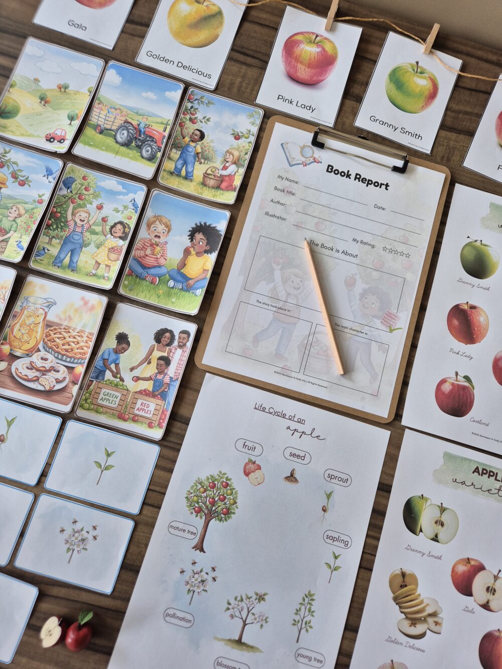 Apple Picking Day – Read Aloud Activity Pack and Book Companion 3 – 9 ...