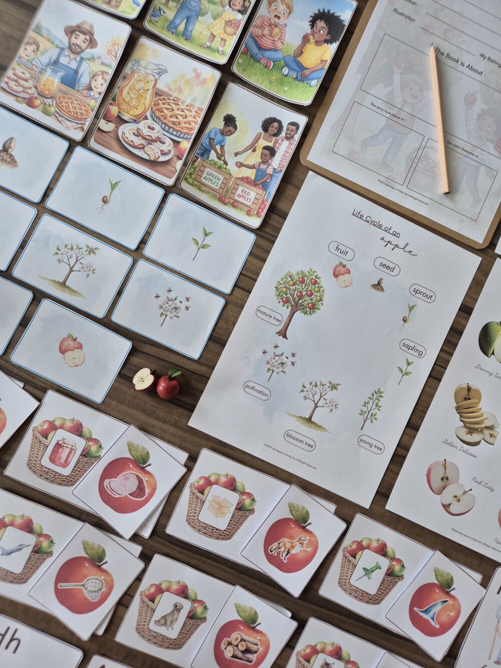 Apple Picking Day – Read Aloud Activity Pack and Book Companion 3 – 9 ...
