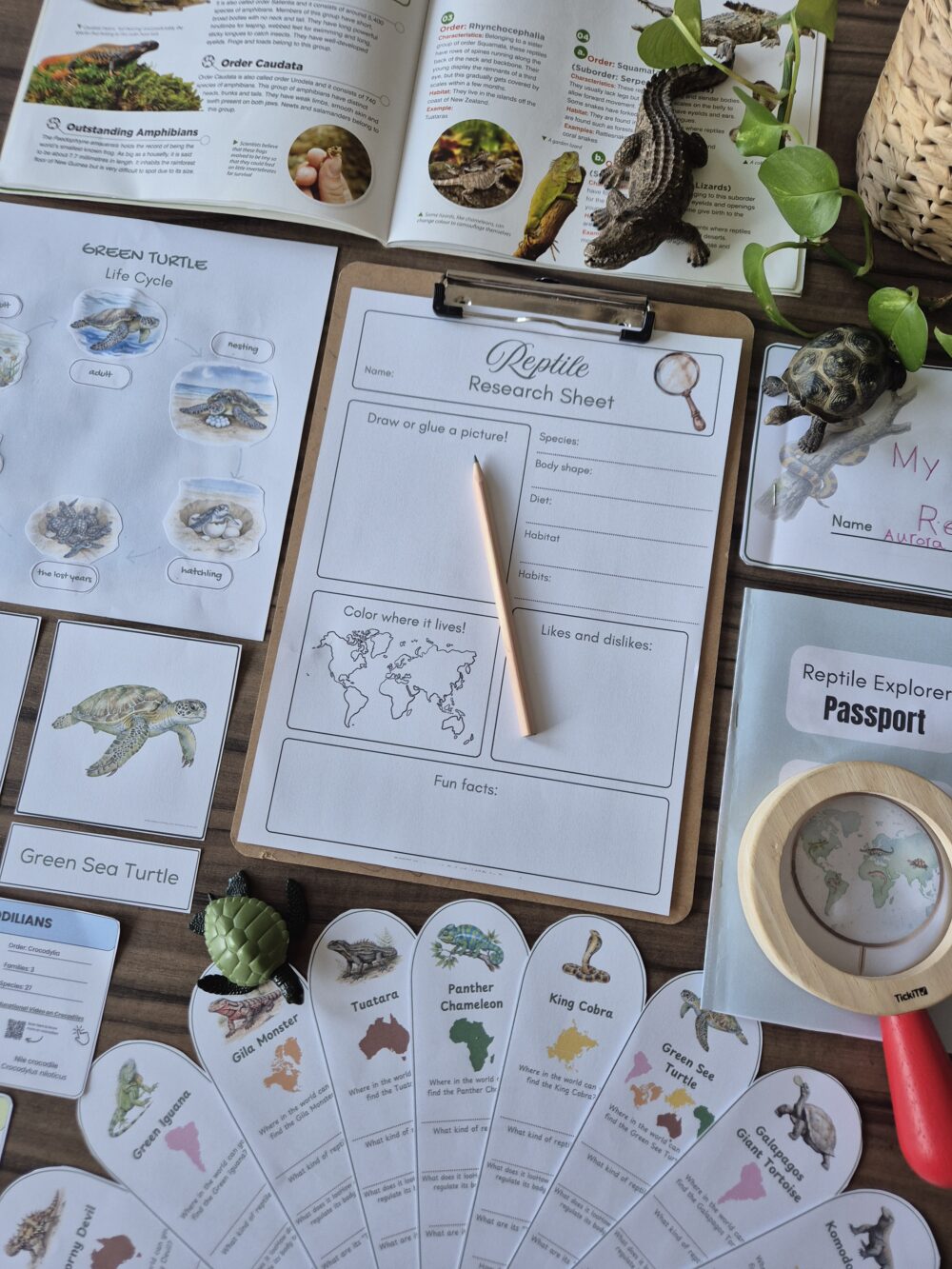 Reptiles of the World Unit Study (5 – 12 years old) – Montessori in ...