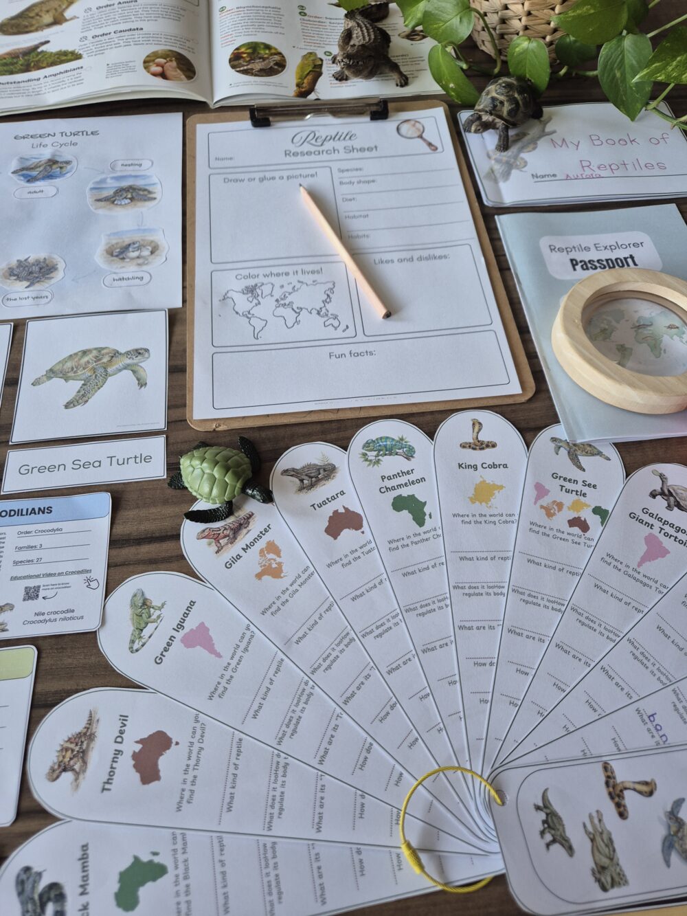 Reptiles of the World Unit Study (5 – 12 years old) – Montessori in ...