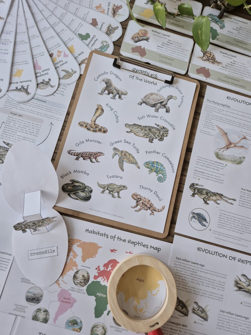 Reptiles of the World Unit Study (5 – 12 years old) – Montessori in ...