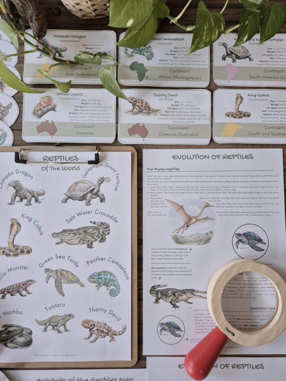 Reptiles of the World Unit Study (5 – 12 years old) – Montessori in ...