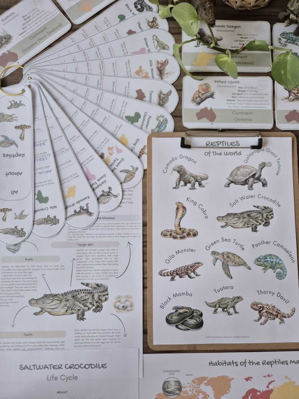 Reptiles of the World Unit Study (5 – 12 years old) – Montessori in ...