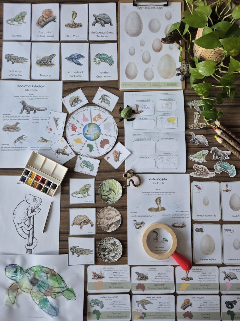 Reptiles of the World Unit Study (5 – 12 years old) – Montessori in ...